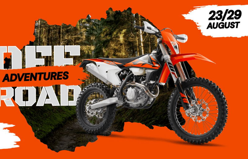 Glorify App Pricing Plans - Free, Pro & Business Solutions - Glorify