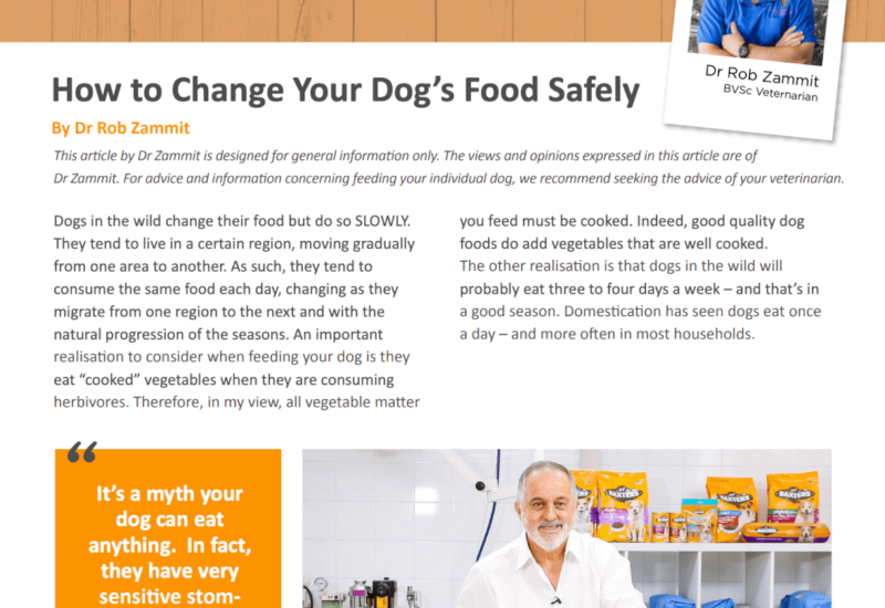 6 steps to creating an effective Influencer Marketing Strategys