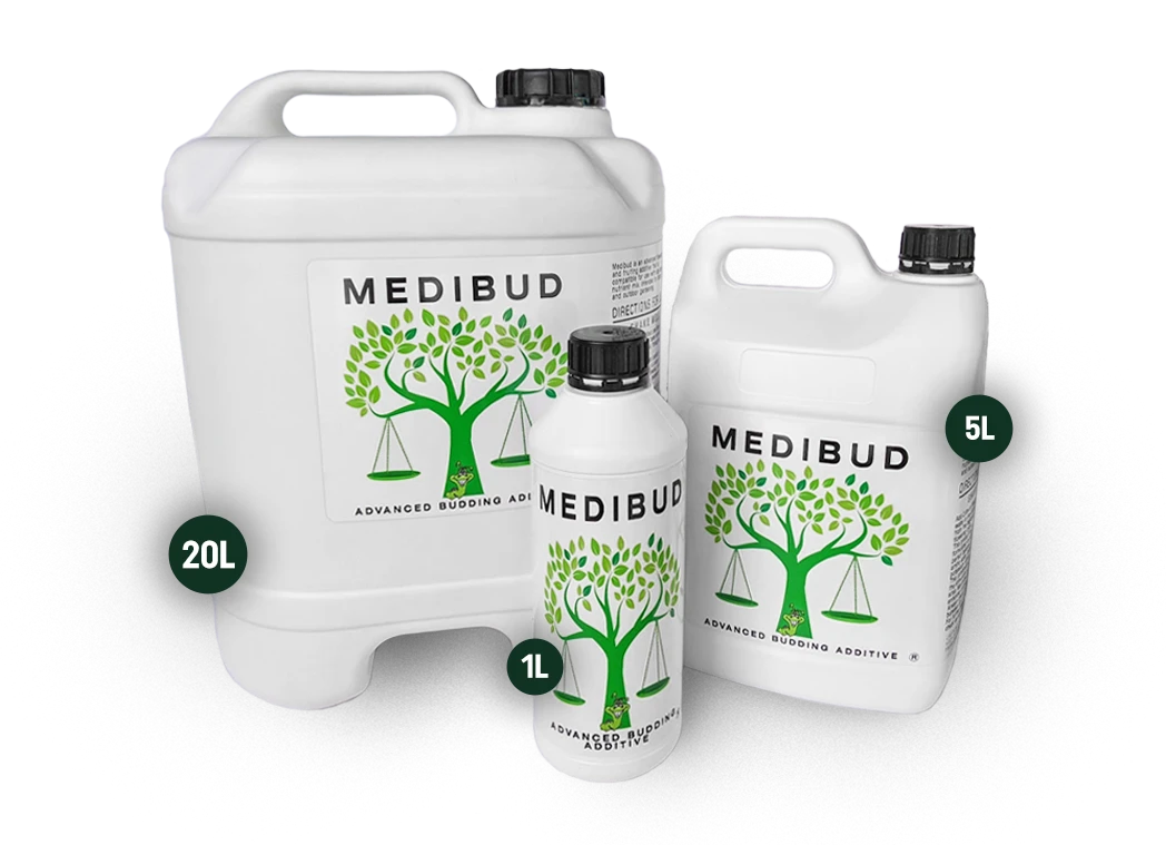 Medibud