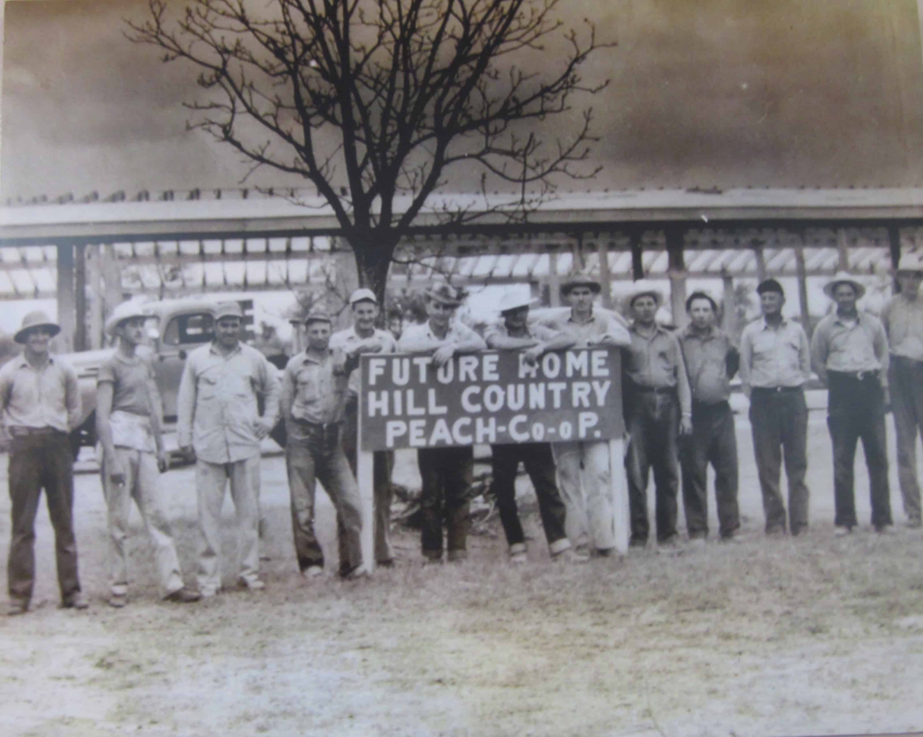 Texas Monthly Wordpress