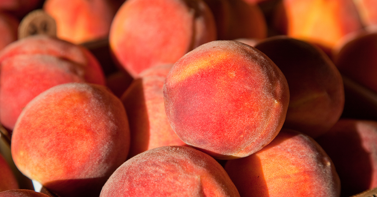 Texas Monthly Wordpress