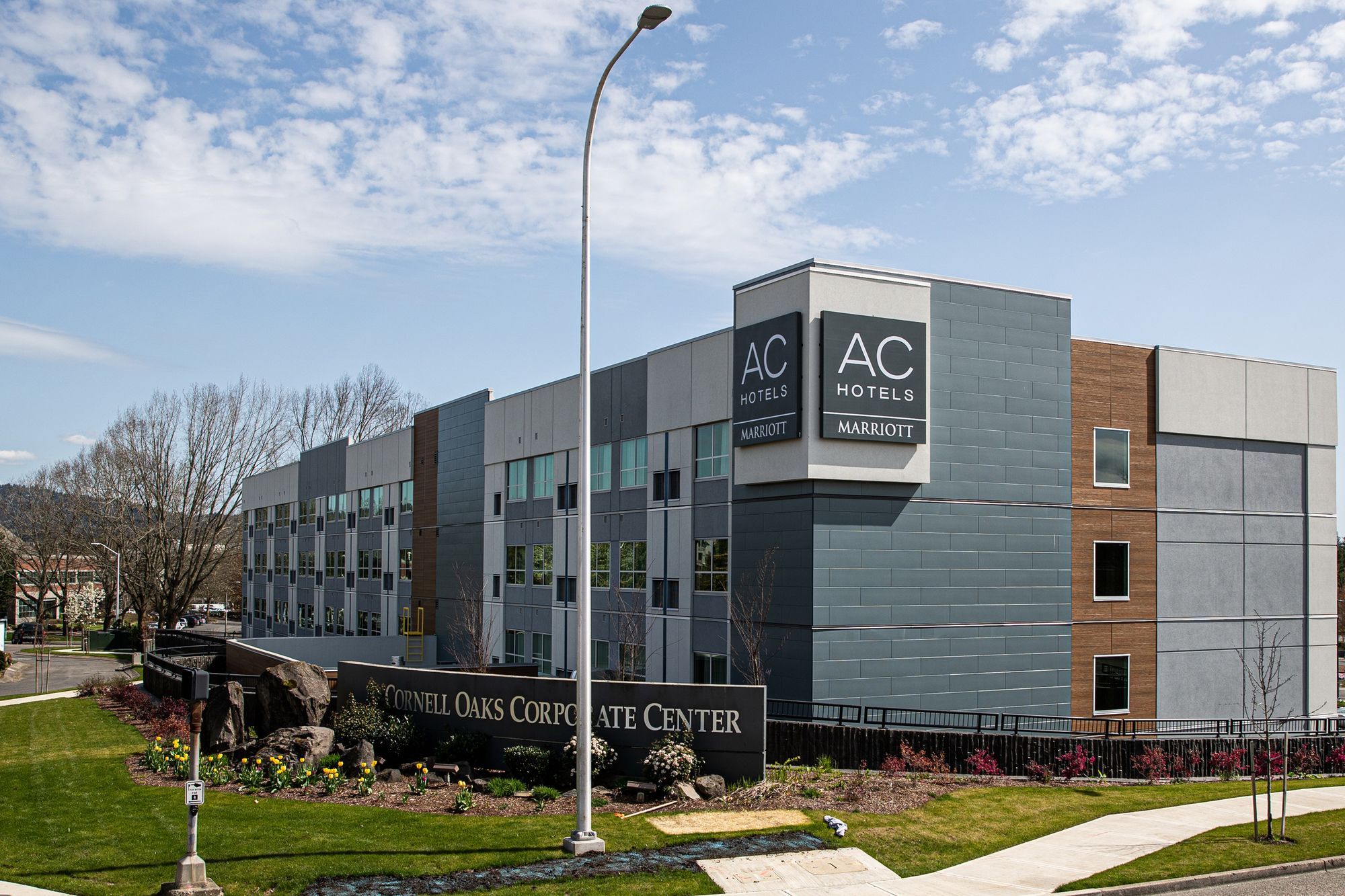 Artector - Refined Ingenuity