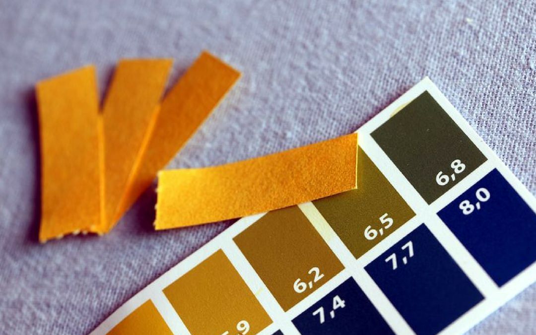 DIY Lab Tests - The Whole Journey