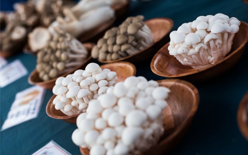 5 Mushrooms that Boost Immunity and Fight Cancer - The Whole Journey