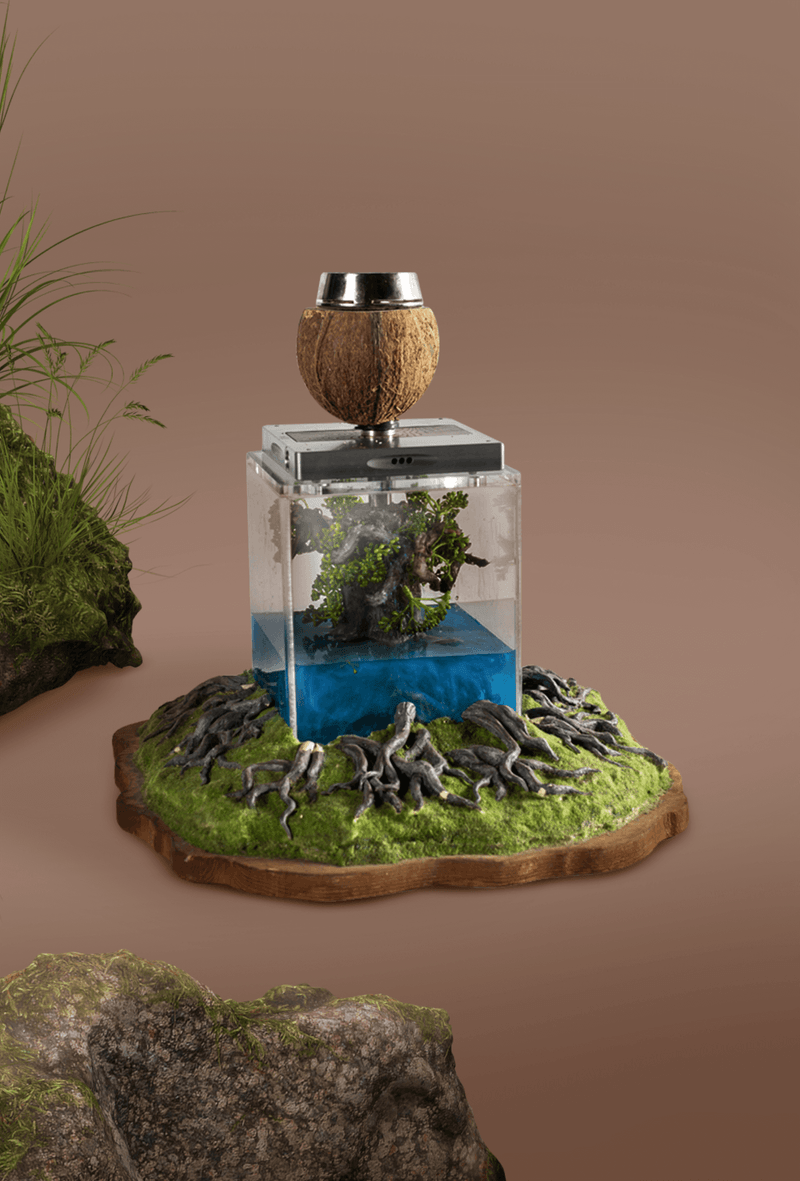 Munterra: диджитал-меню. Место, где время течёт иначе.