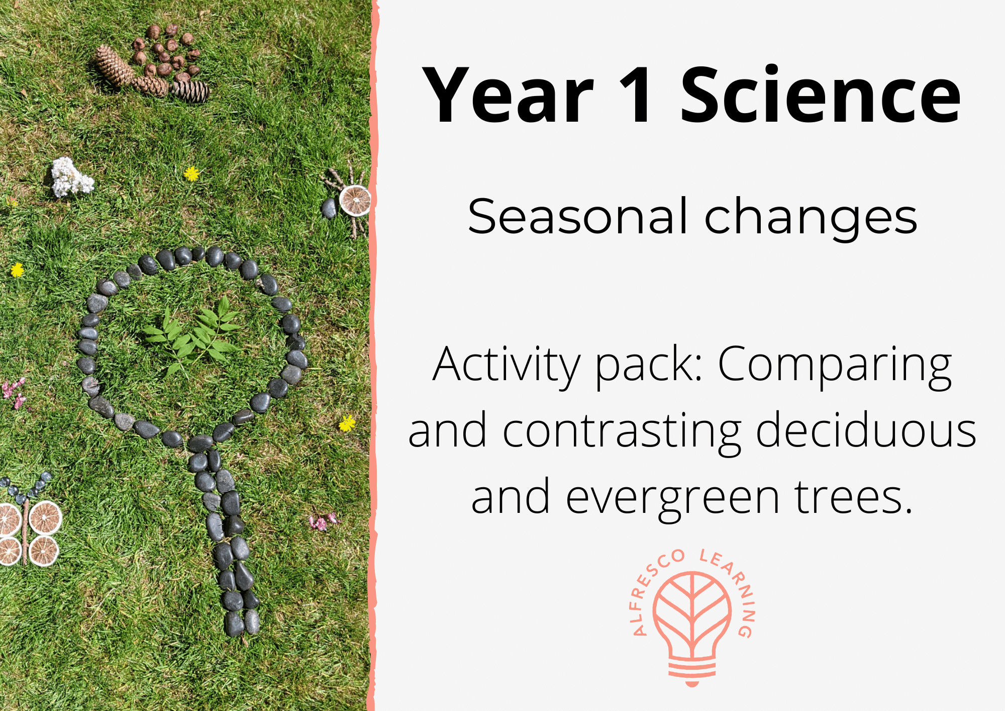 Taking Year 1 - Seasonal changes Outdoors