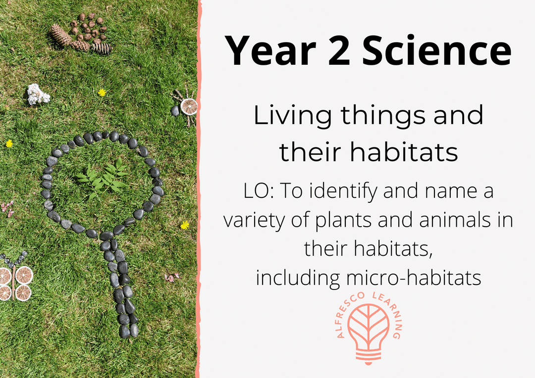 Taking Year 2 - Living things and their habitats Outdoors