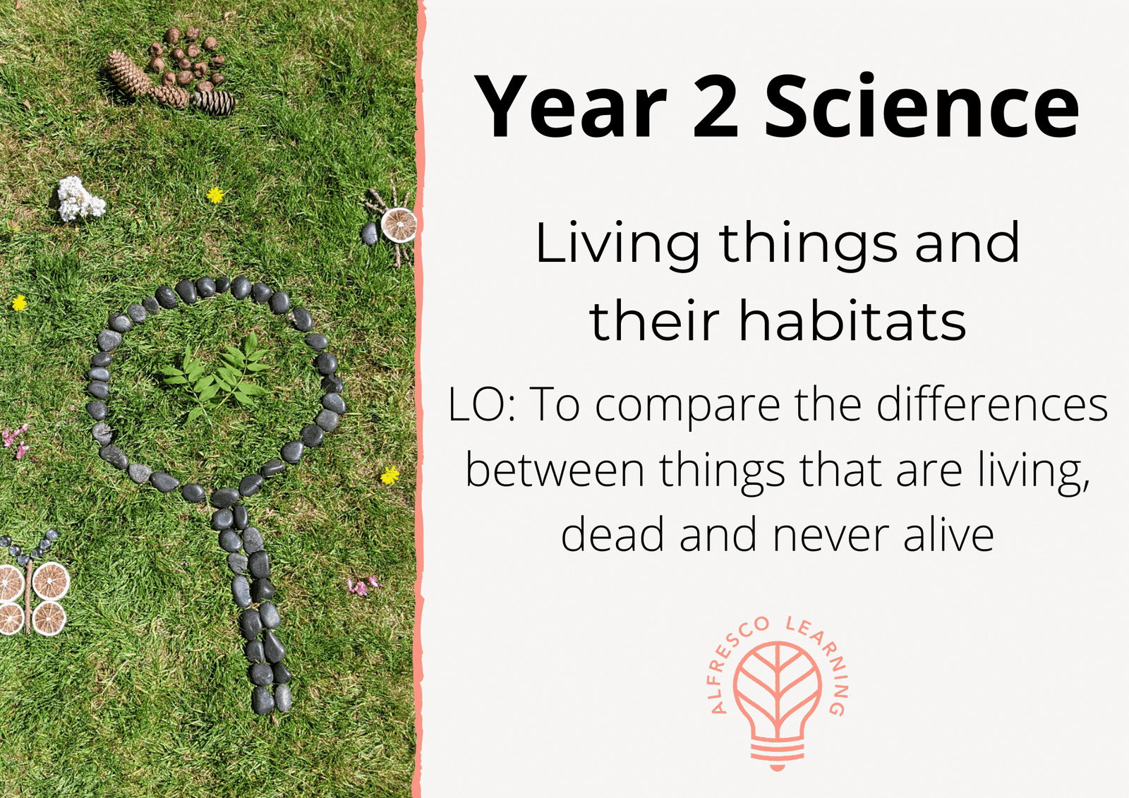 Taking Year 2 - Living things and their habitats Outdoors