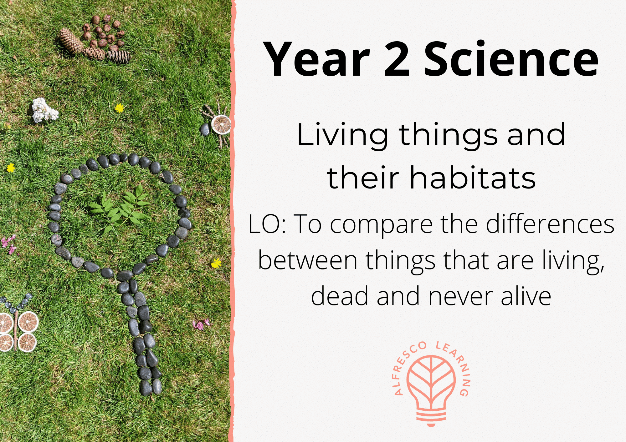 Taking Year 2 - Living things and their habitats Outdoors