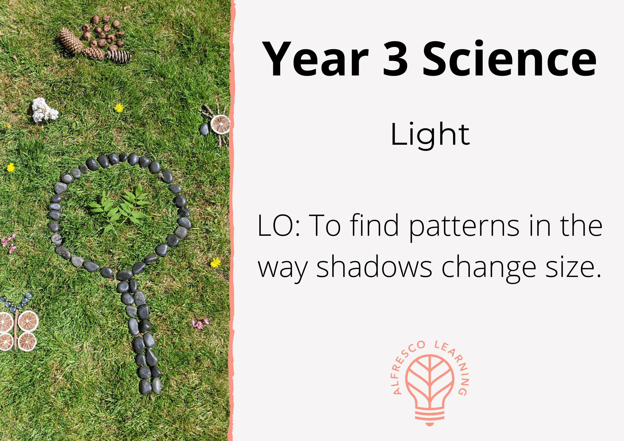 Taking Year 3 - Light Outdoors