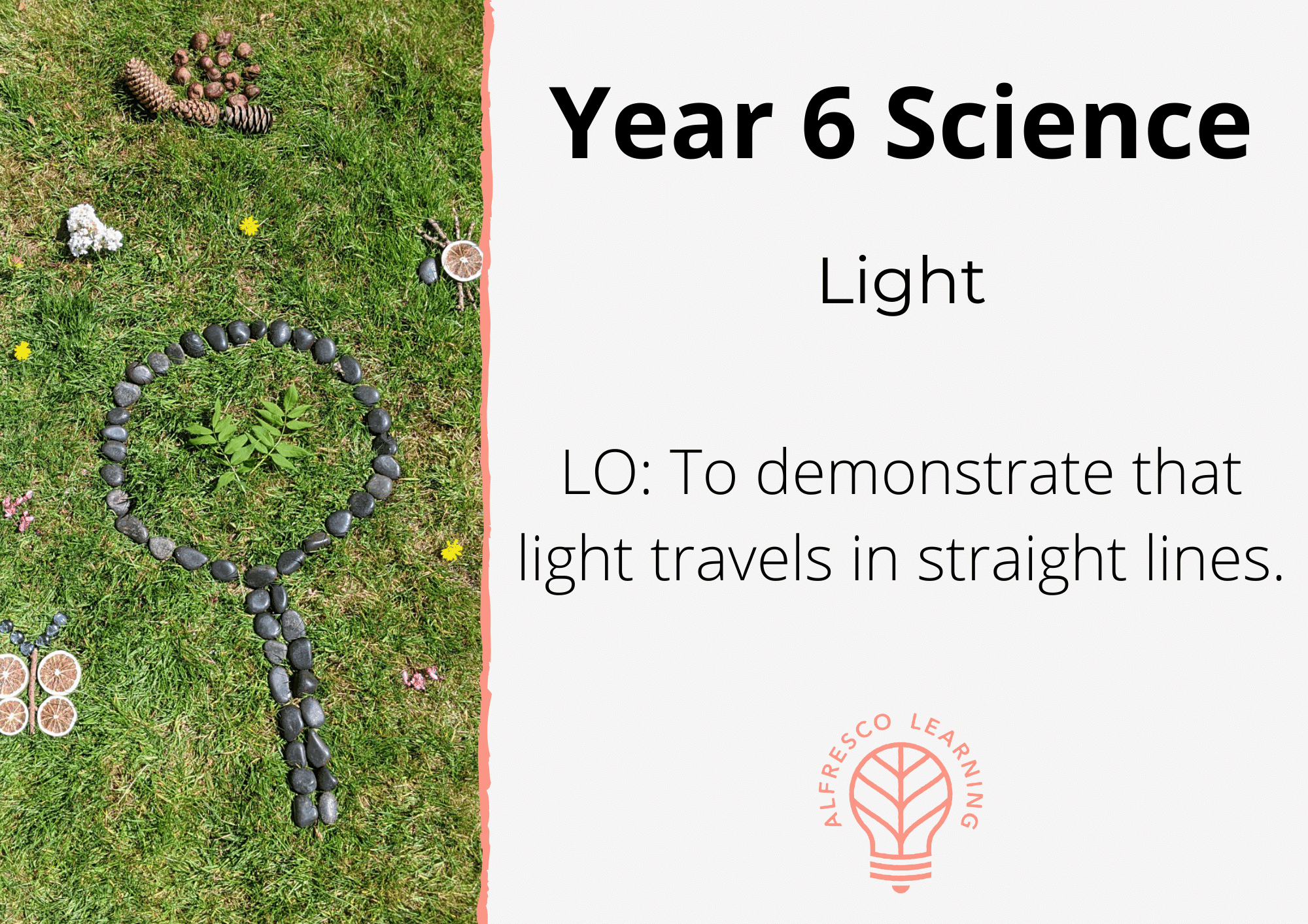 Taking Year 6 - Light Outdoors