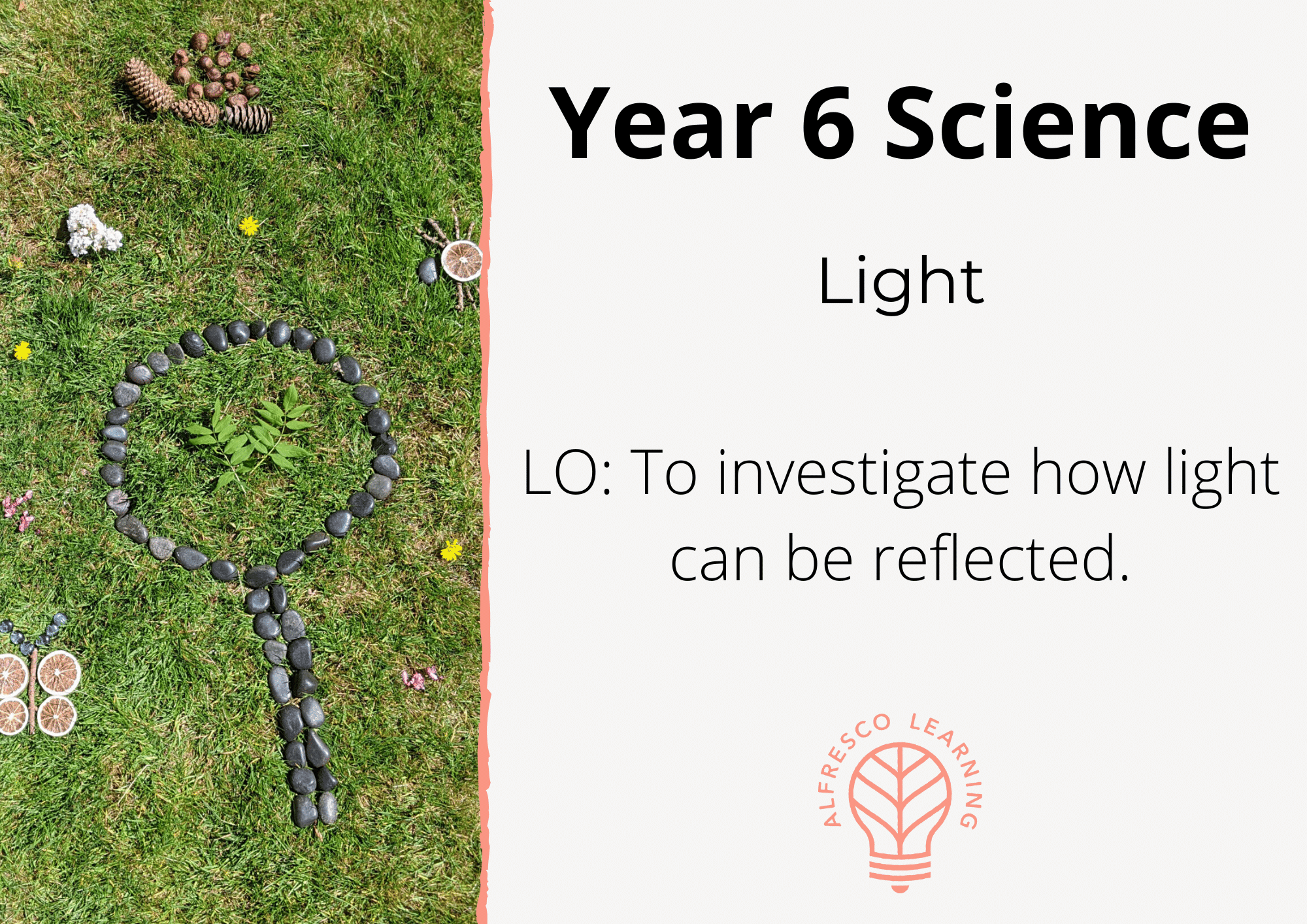 Taking Year 6 - Light Outdoors