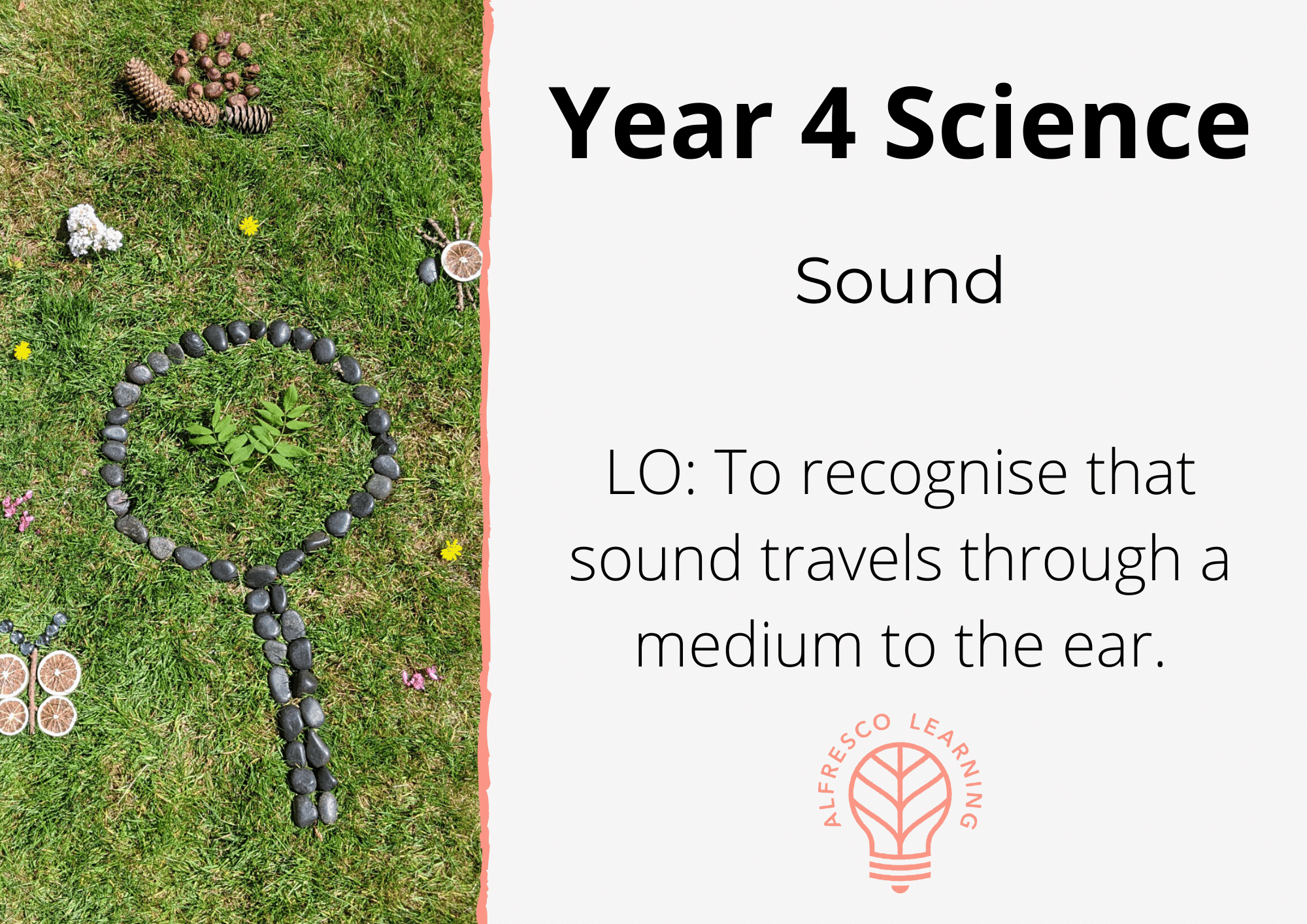 Taking Year 4 - Sound Outdoors