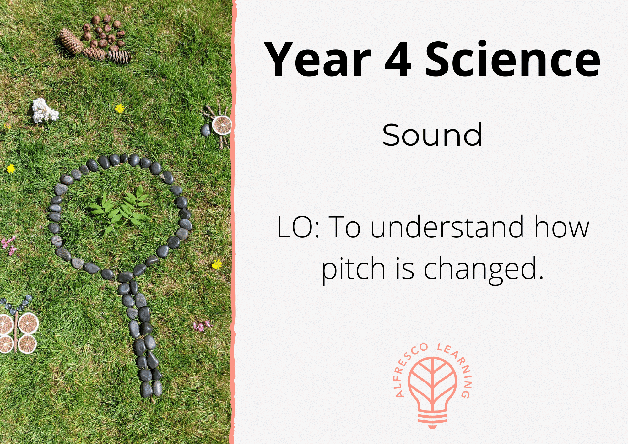 Taking Year 4 - Sound Outdoors