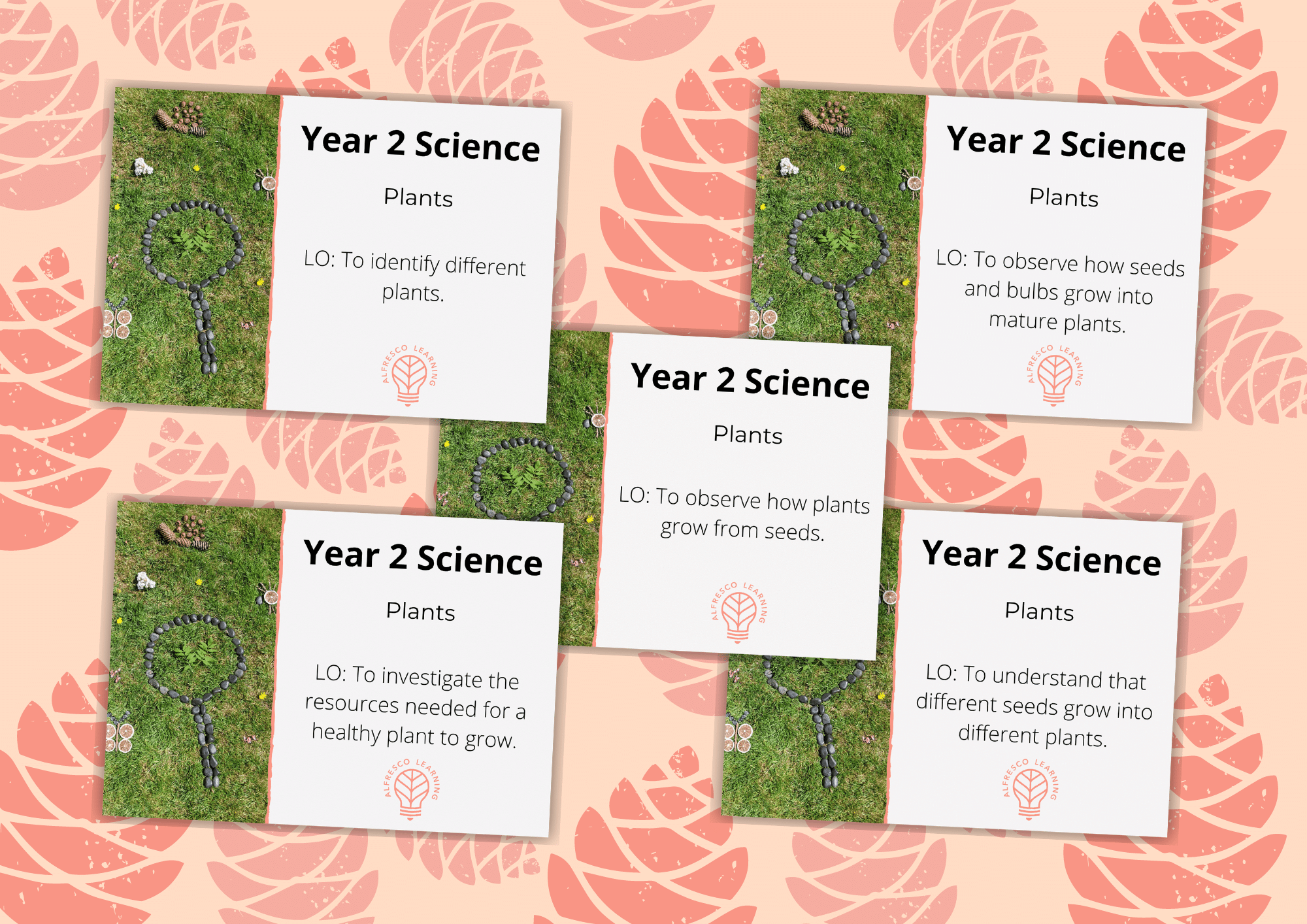 Taking Year 2 - Plants Outdoors