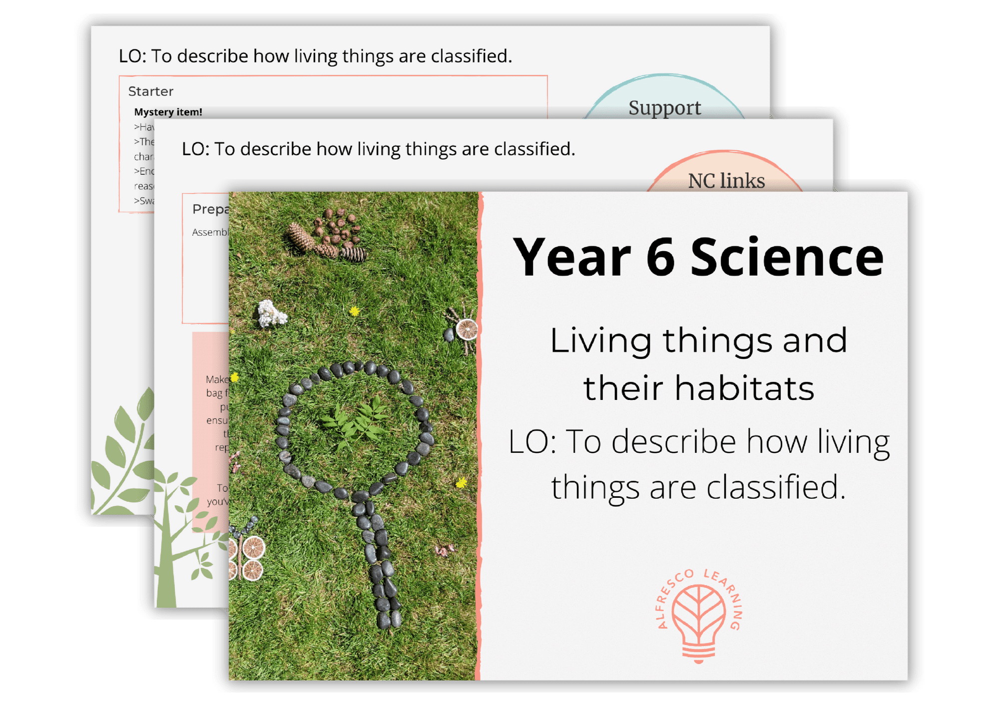 Taking Year 6 - Living Things Outdoors