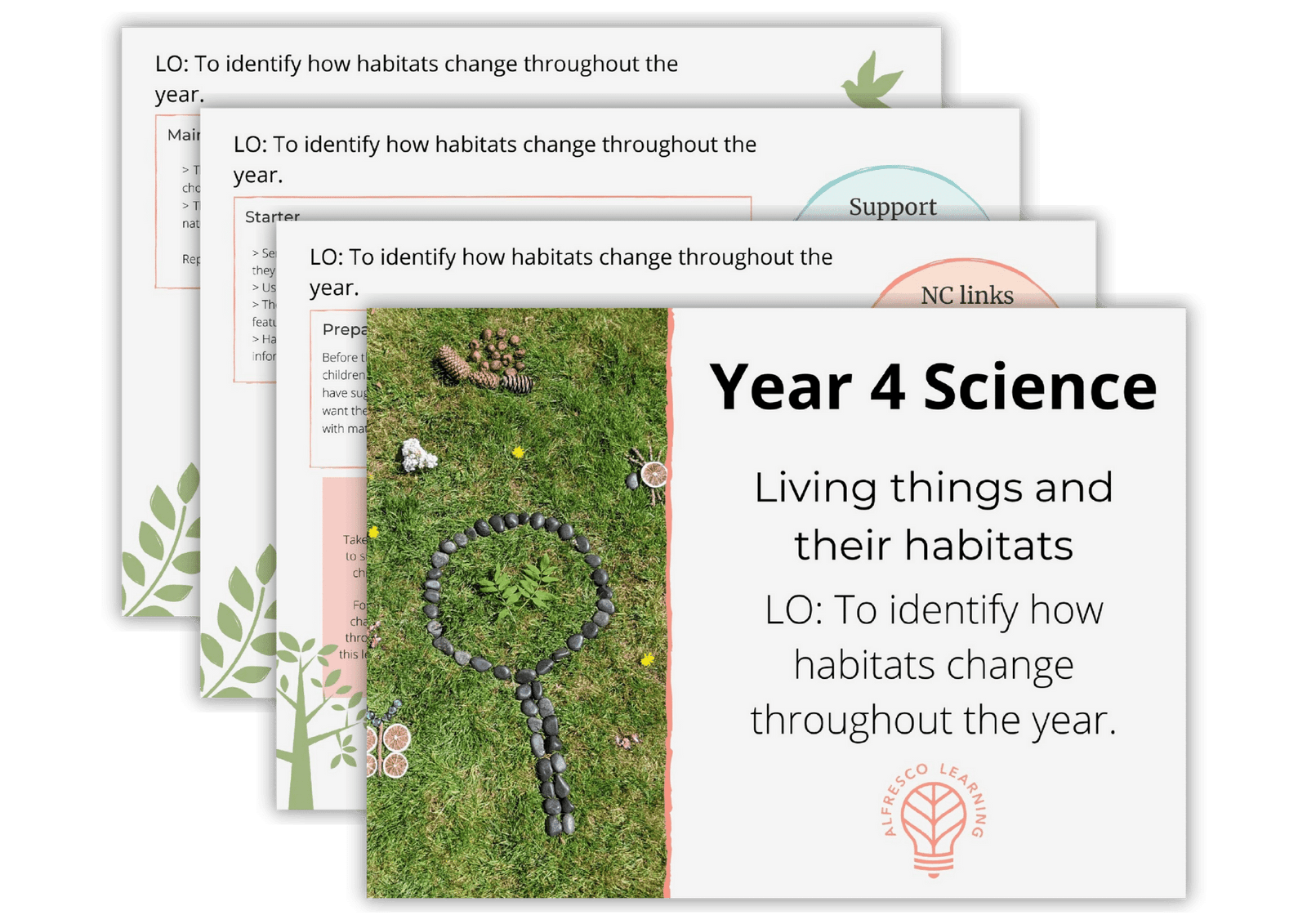 Taking Year 4 - Living Things Outdoors