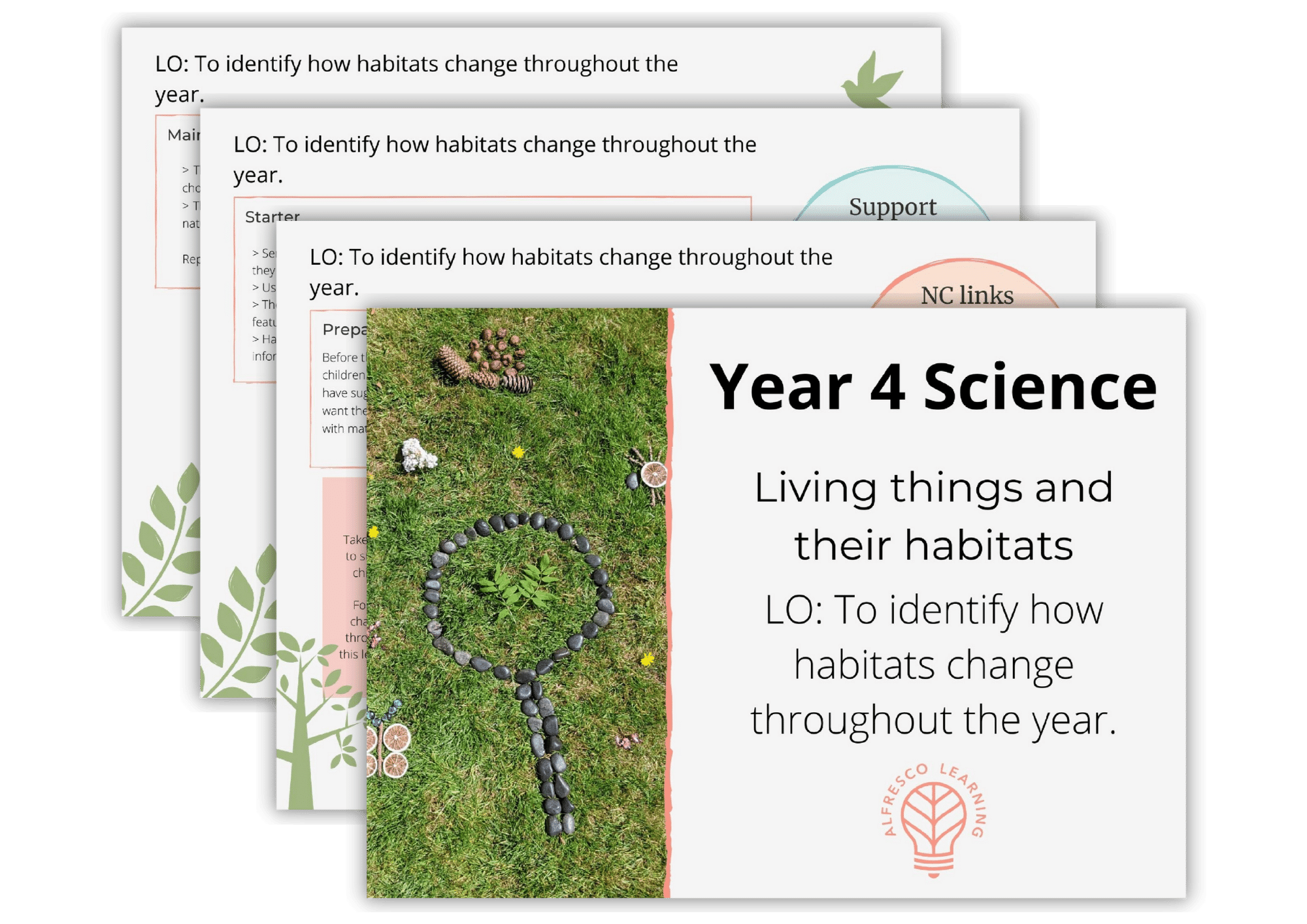 Taking Year 4 - Living Things Outdoors