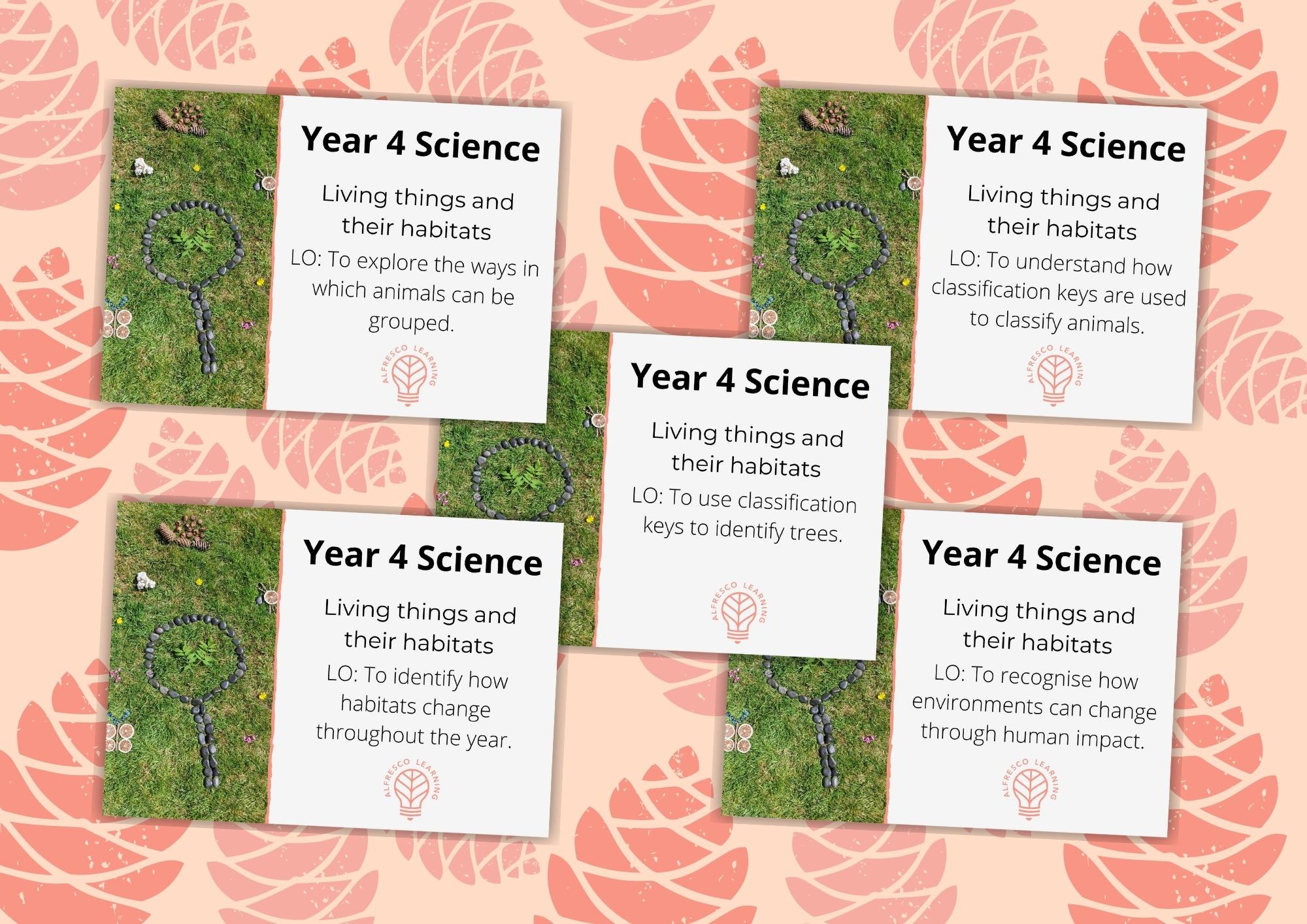 Taking Year 4 - Living Things Outdoors