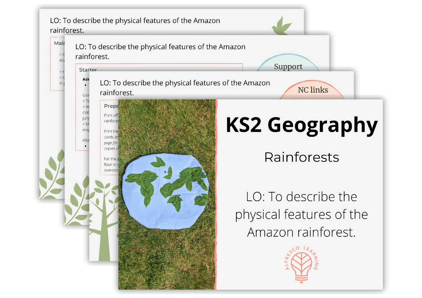Taking KS2 - Rainforests Outdoors