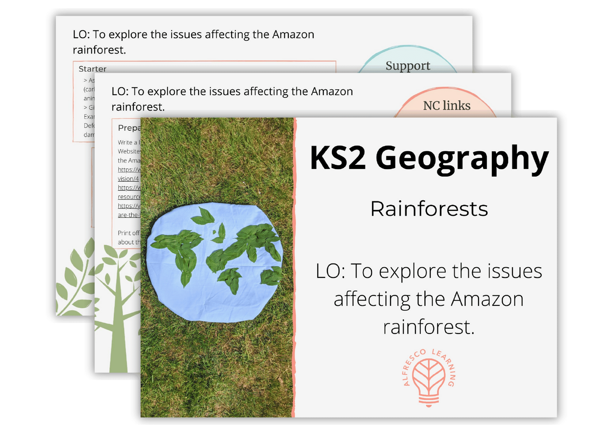 Taking KS2 - Rainforests Outdoors
