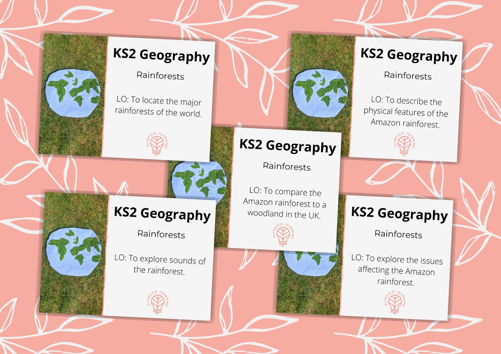 Taking KS2 - Rainforests Outdoors