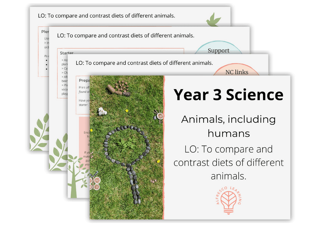 Taking Year 3 - Animals, including humans Outdoors