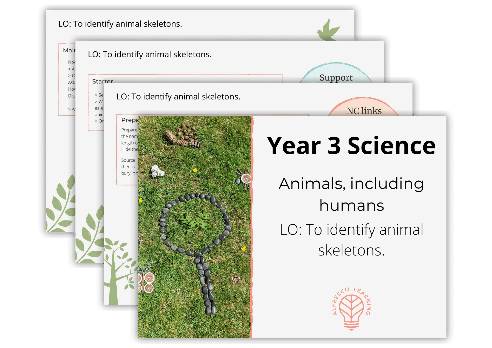 Taking Year 3 - Animals, including humans Outdoors