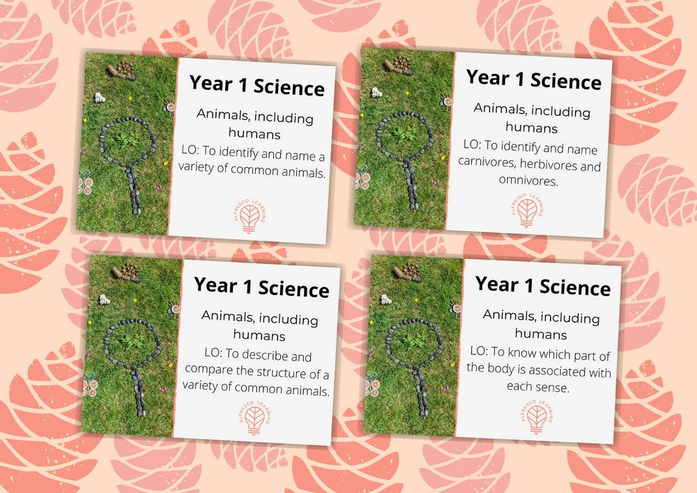 Taking Year 1 - Animals inc. humans Outdoors