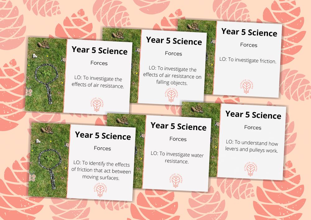 Taking Year 5 - Forces Outdoors