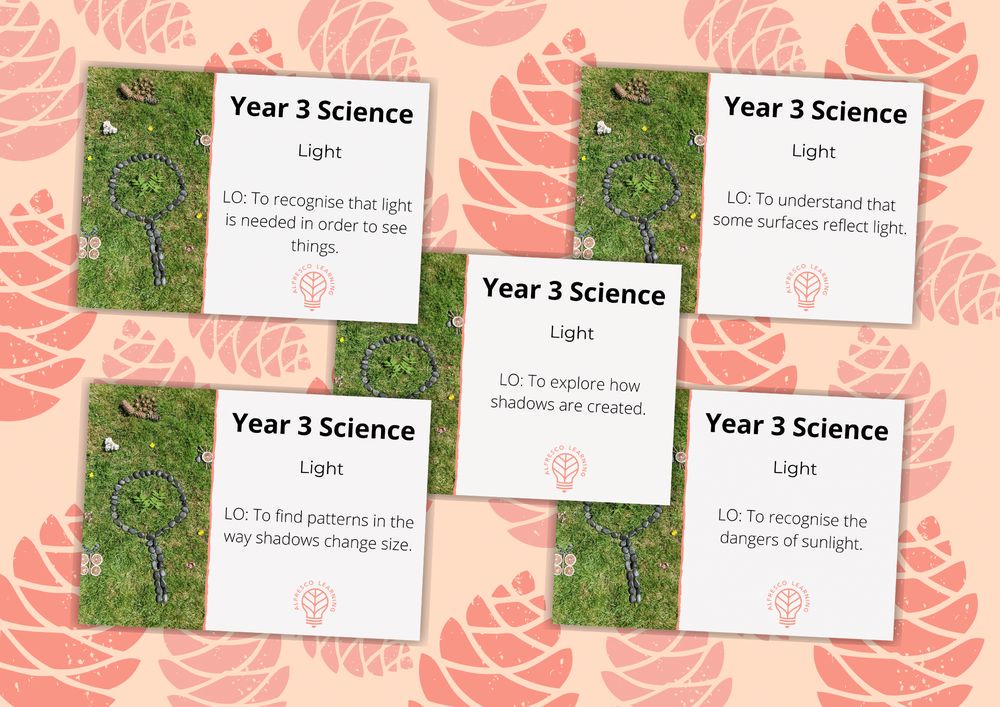 Taking Year 3 - Light Outdoors