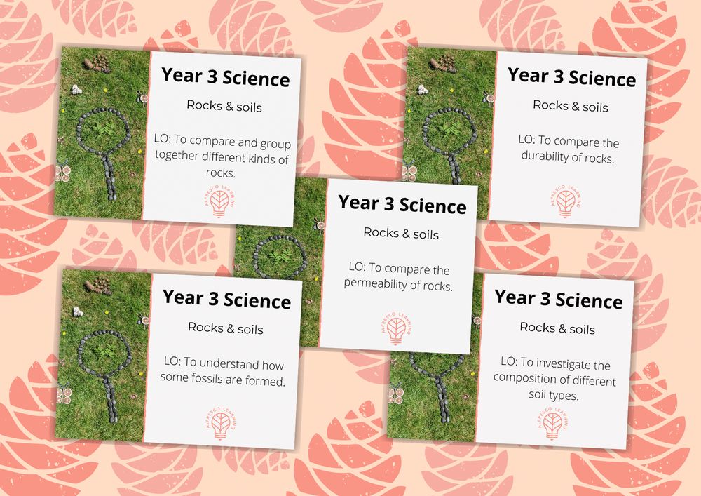 Taking Year 3 - Rocks & Soils Outdoors