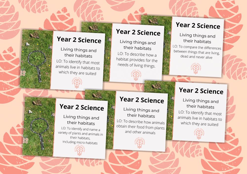 Taking Year 2 - Living things and their habitats Outdoors