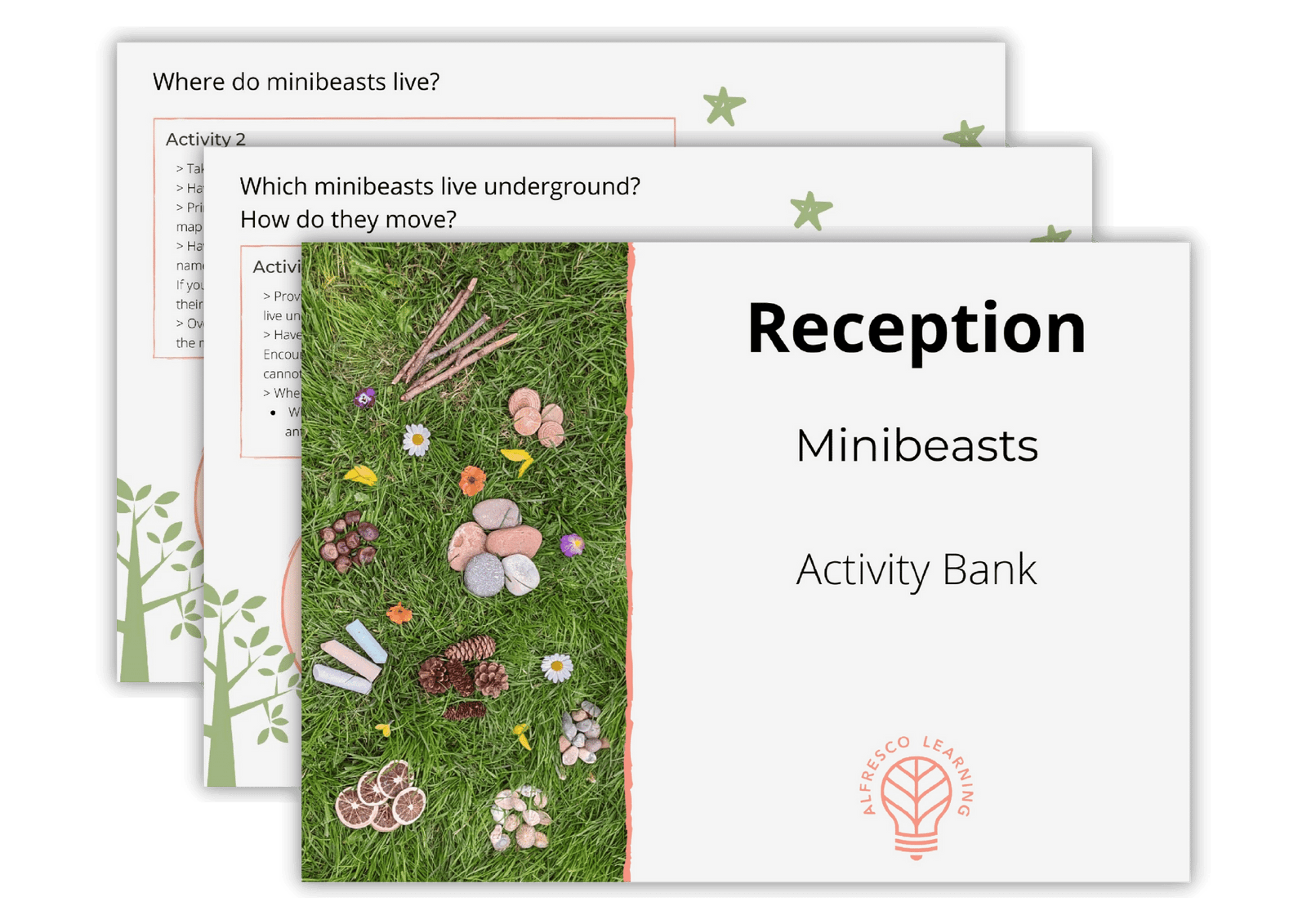 Taking Reception - Minibeasts Outdoors