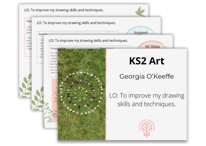 Taking KS2 - Georgia O'Keeffe Outdoors