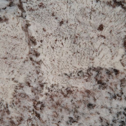 MSI Surfaces - Shell White Quartz - Surprise Granite