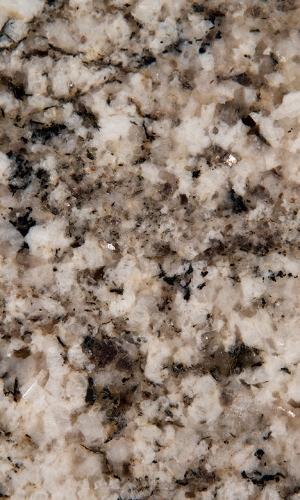 Radianz Quartz - Calacatta Veneto Quartz - Surprise Granite