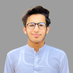Ahmad Raza - Webflow