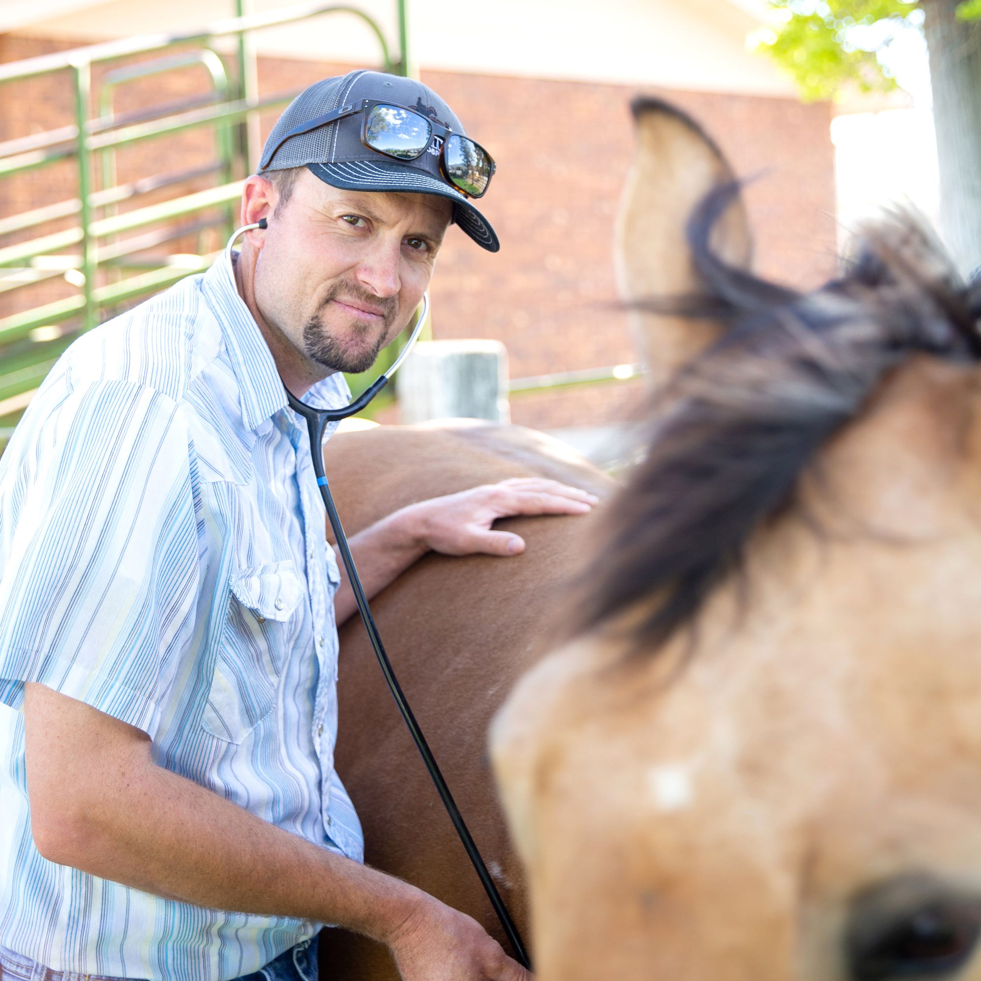 Our Doctors | Bear River Animal Hospital