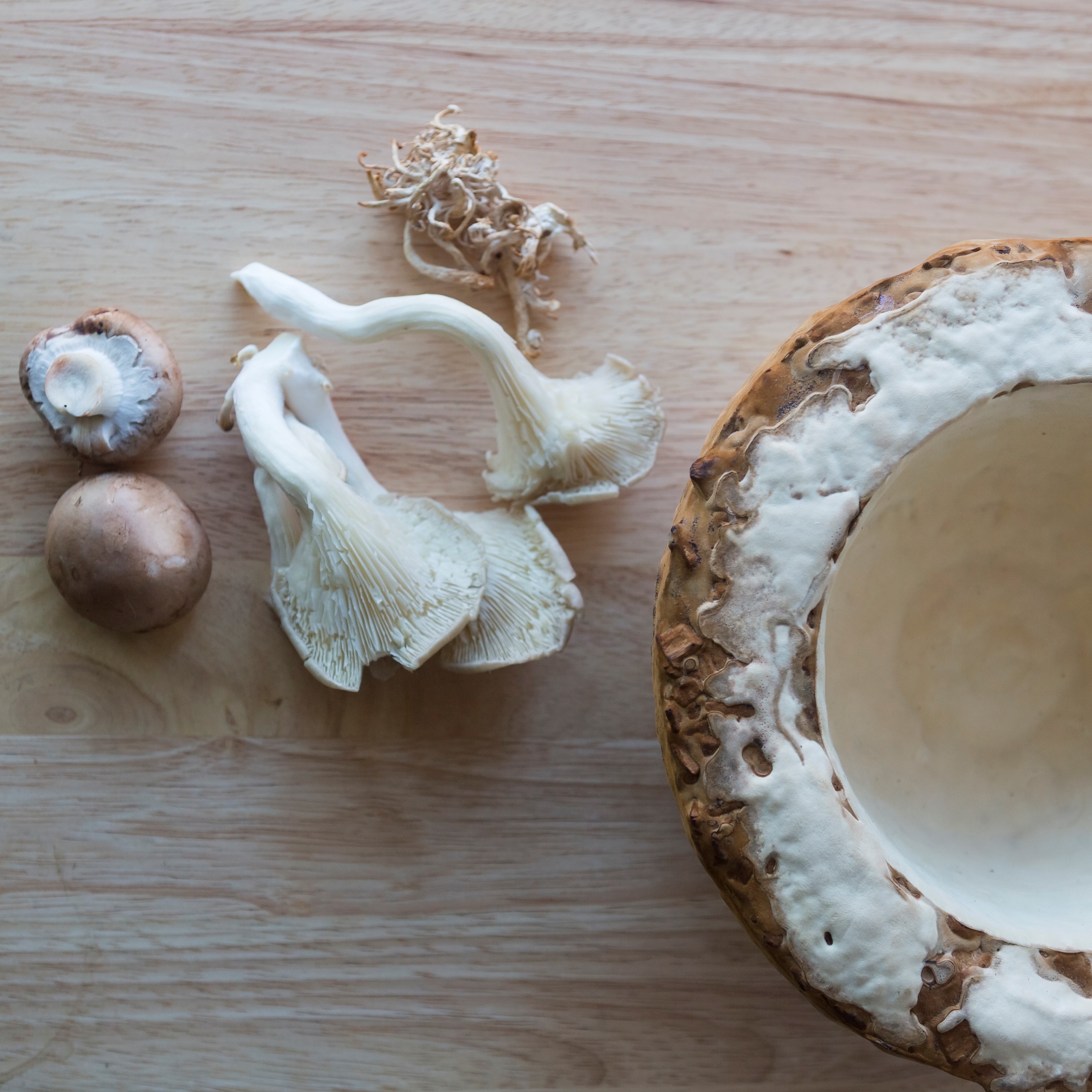 Mycelium Craft - Who holds the creative licence? Humans or Fungi ...