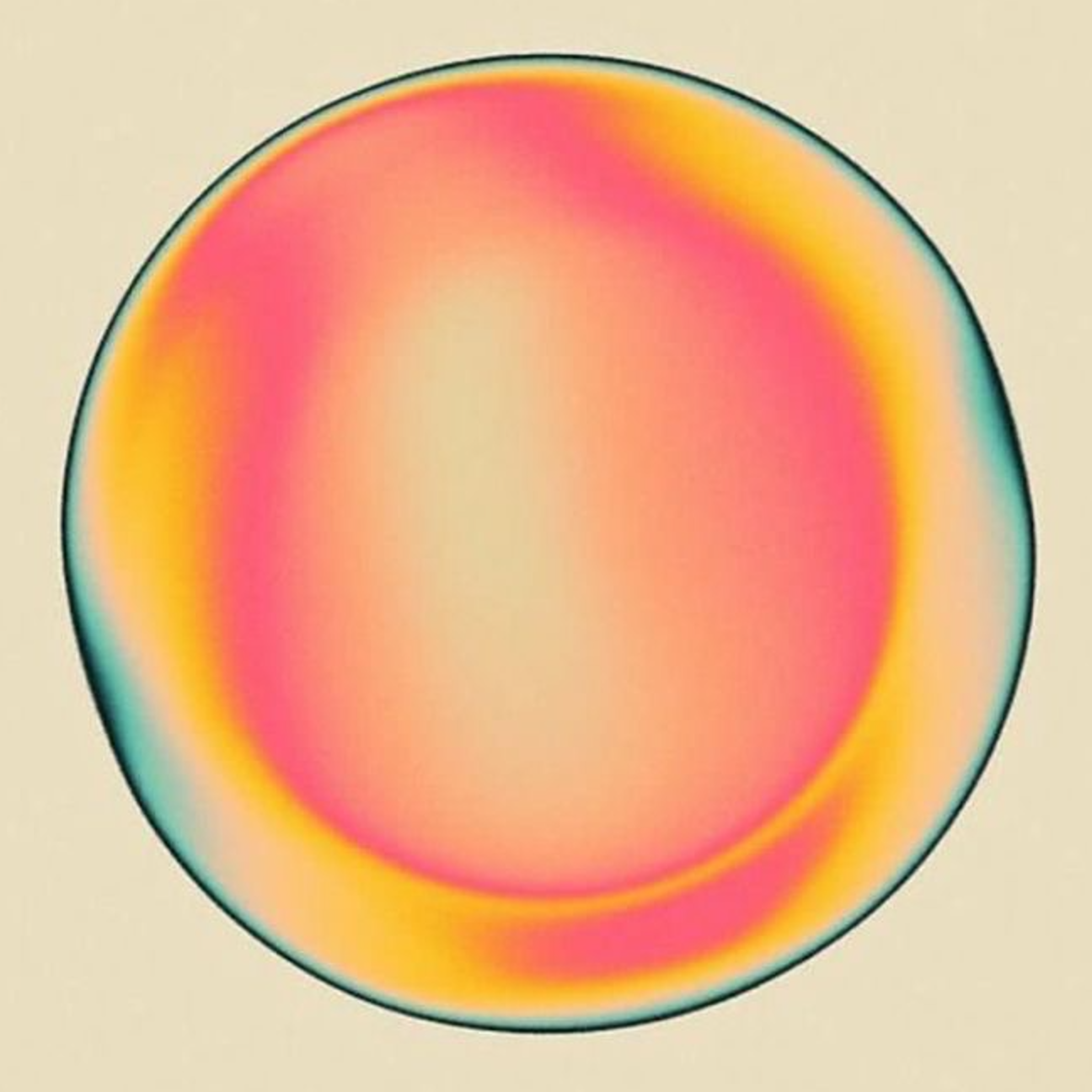 Nick Geoffrey - Webflow