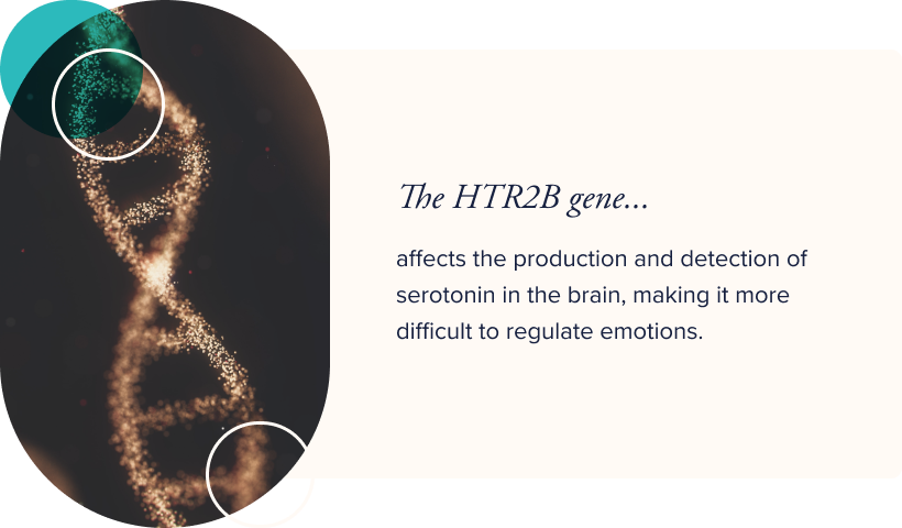 Blaming Others When Things Go Wrong | Inner Balance Counseling