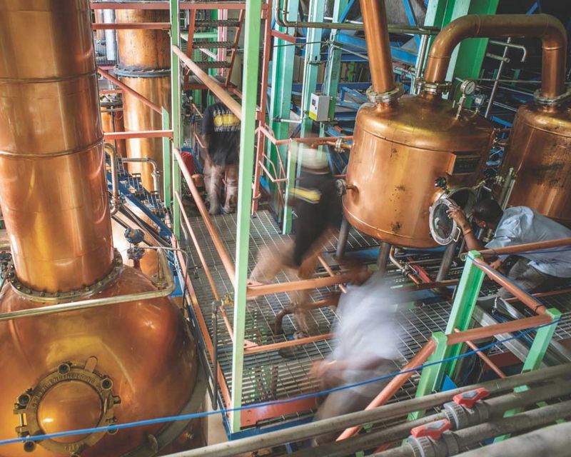 West Indies Rum Distillery: The Backbone of Barbados Rum