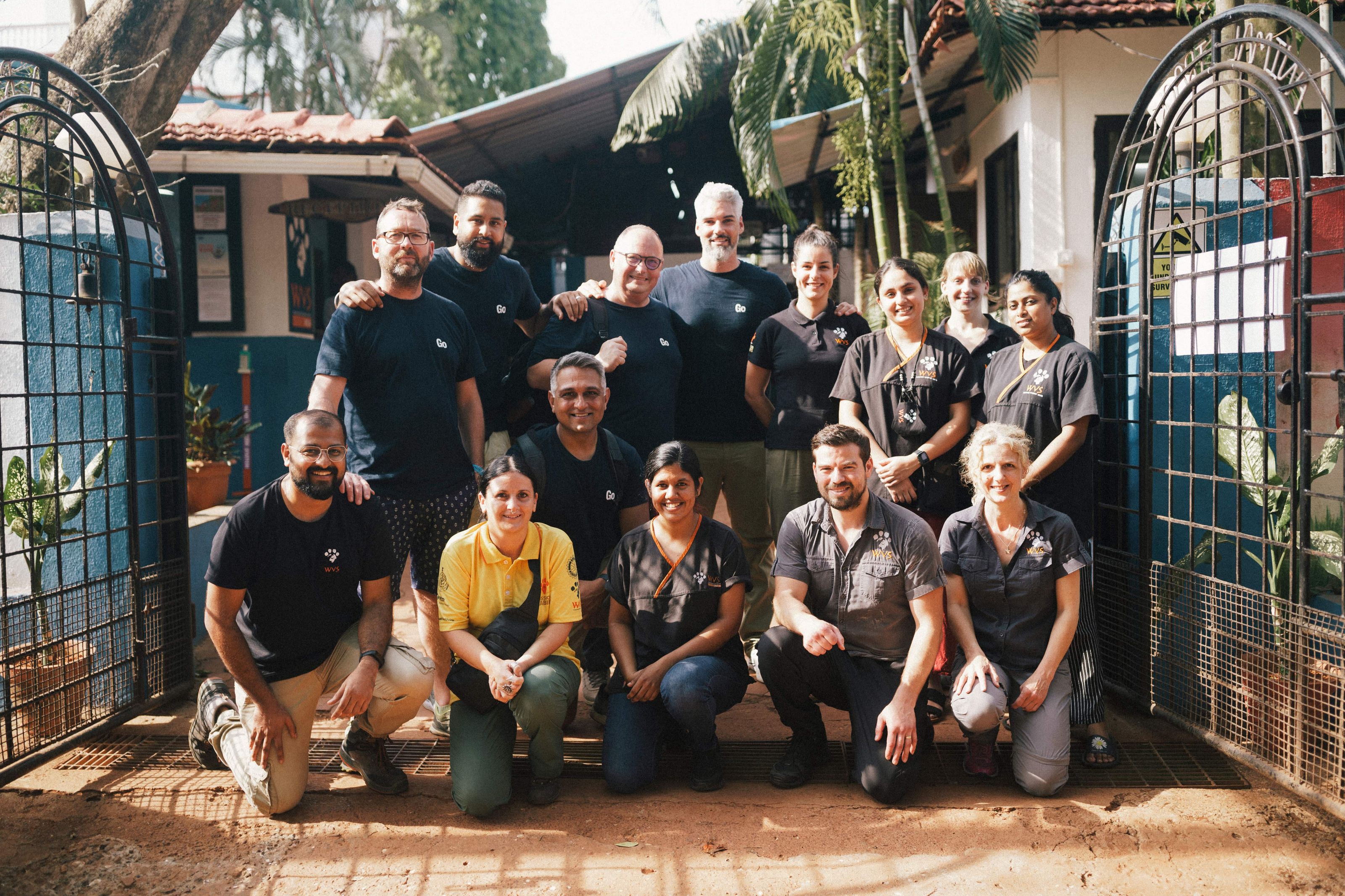 Home [www.gochip.pet]