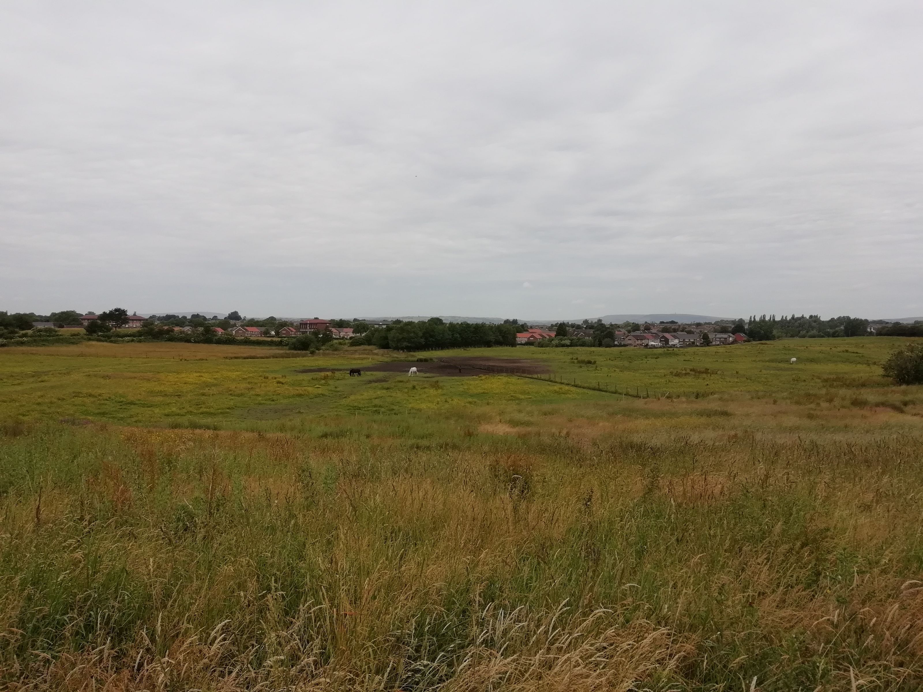 Projects - Strategic Land Group