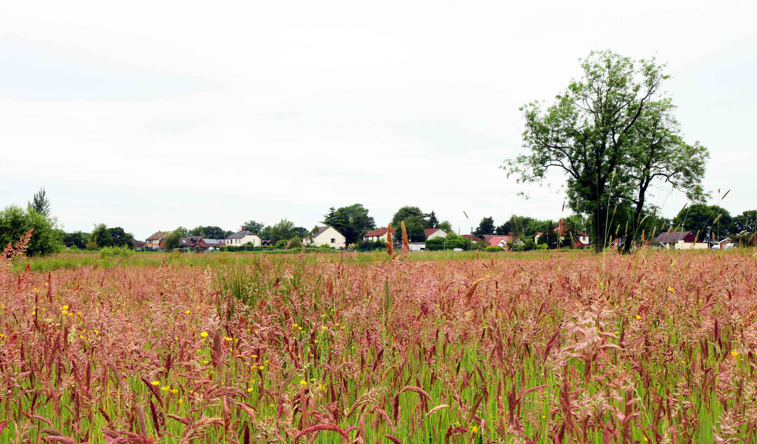 Stoke-on-Trent - Strategic Land Group