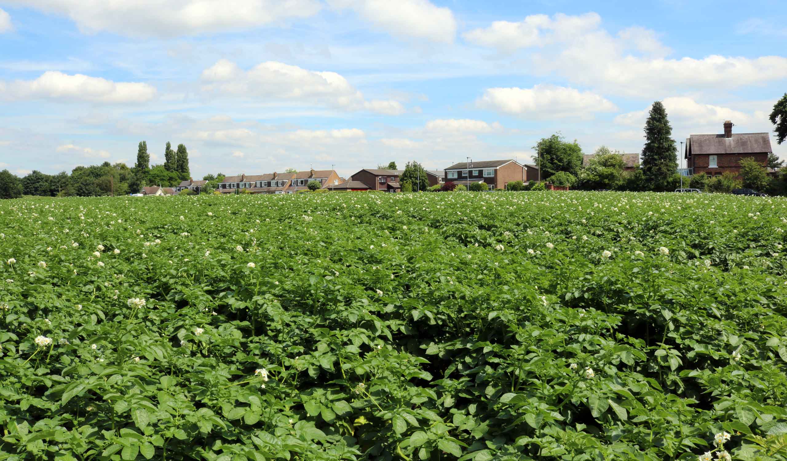 Lymm - Strategic Land Group