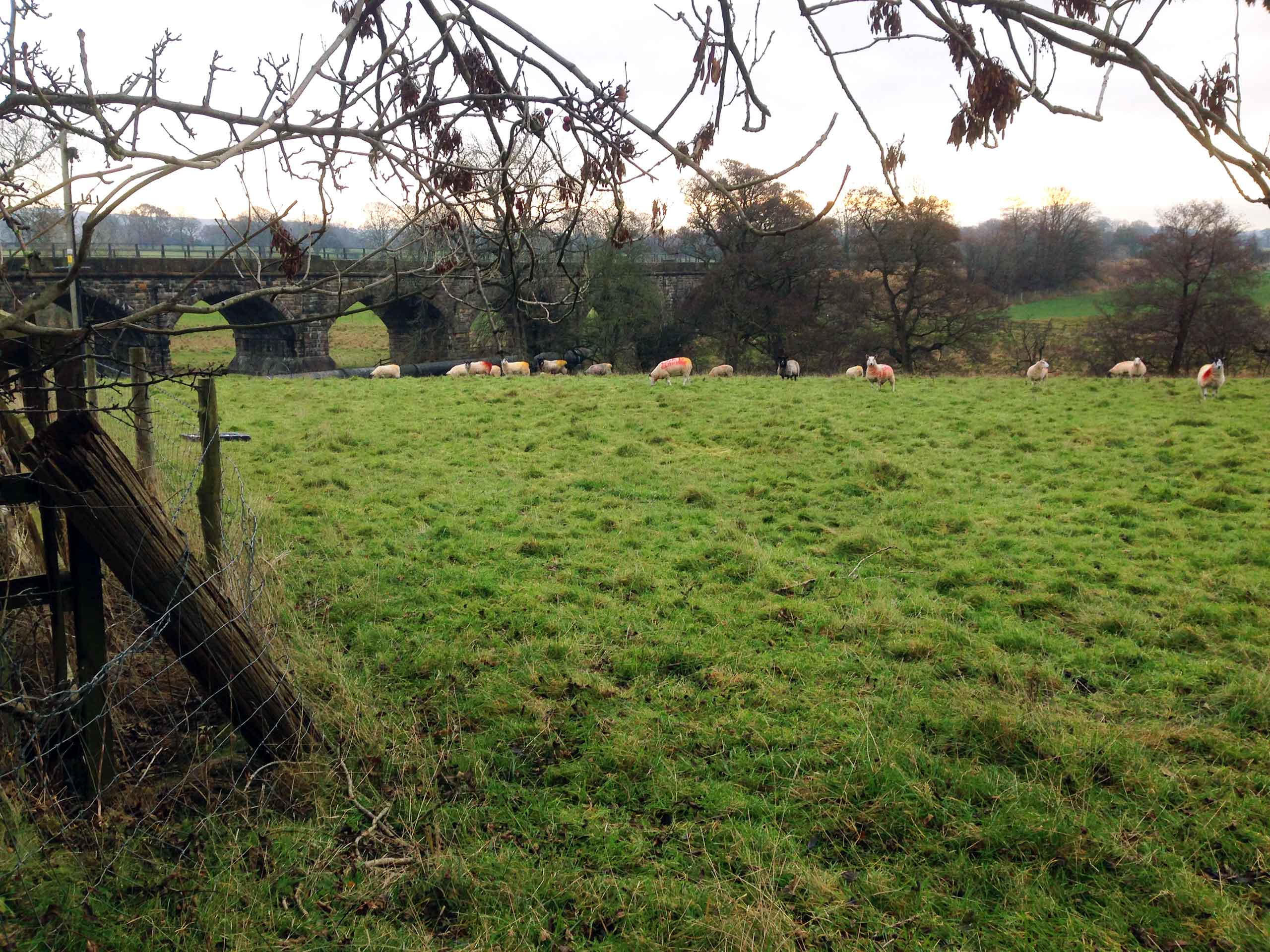 Clitheroe Phase 1 - Strategic Land Group