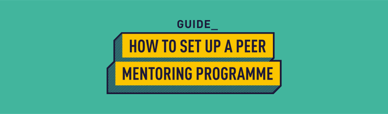 How to Set Up a Peer Mentoring Programme