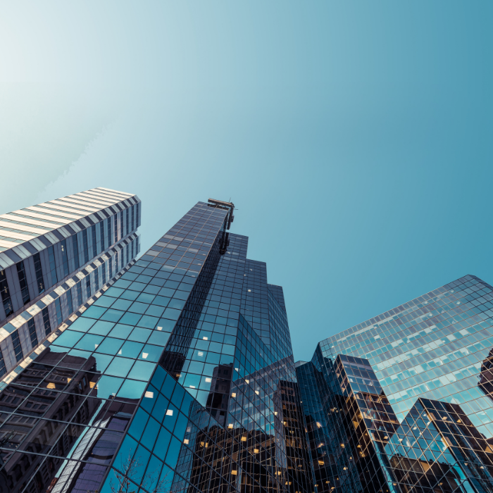 The Vishleshan Advantage